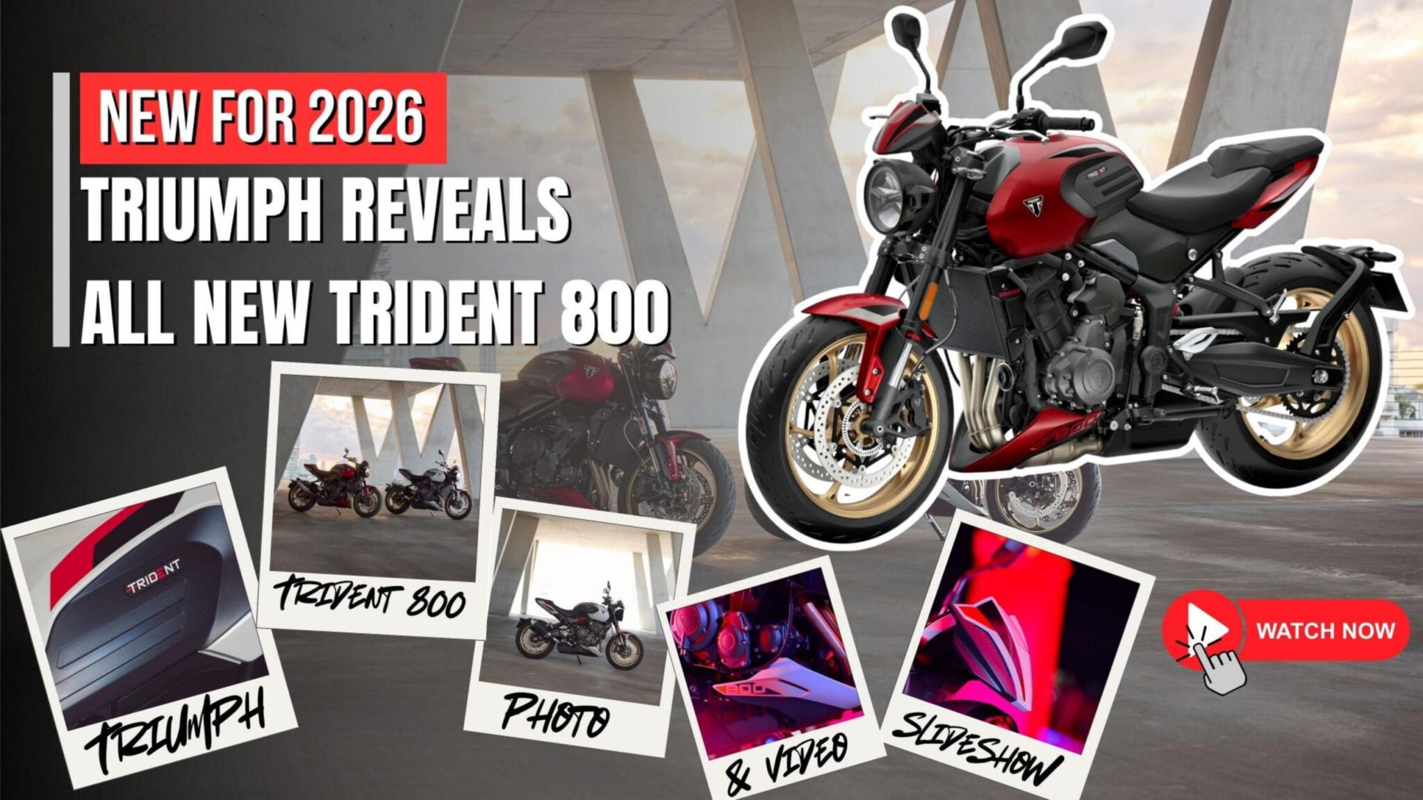 First Look at the 2026 Triumph Trident 800! - Watch Now - #1 for ...